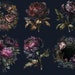 23 PNG Watercolour Gothic Peonies Clipart, Gothic Peony Clip Art Bundle ...