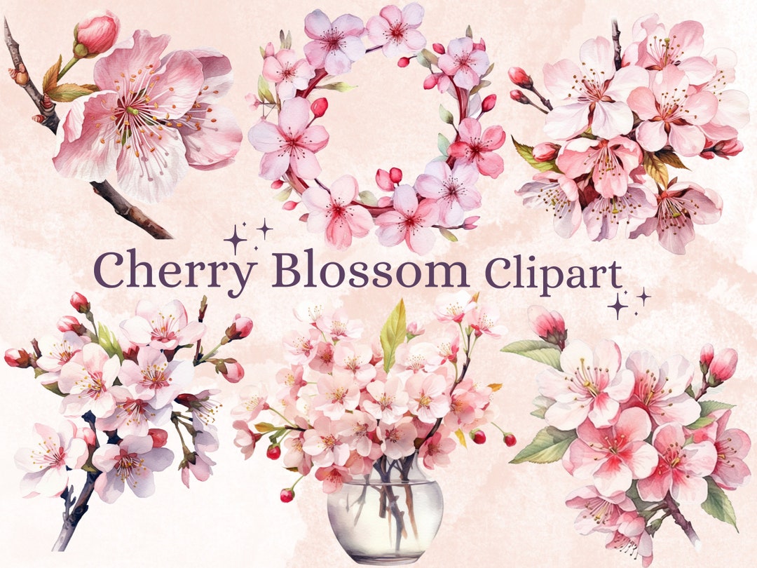 30 PNG Watercolor Cherry Blossom Clipart, Japanese Sakura PNG Clip Art ...