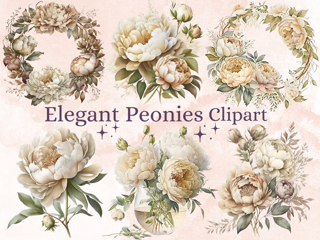 17 PNG Watercolour Elegant Peonies Clipart, White & Beige Boho Peonies ...
