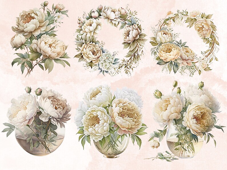 17 PNG Watercolour Elegant Peonies Clipart, White & Beige Boho Peonies ...