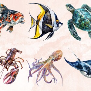 70 PNG Watercolor Underwater Animals Bundle Clipart, Ocean Nursery Clip ...
