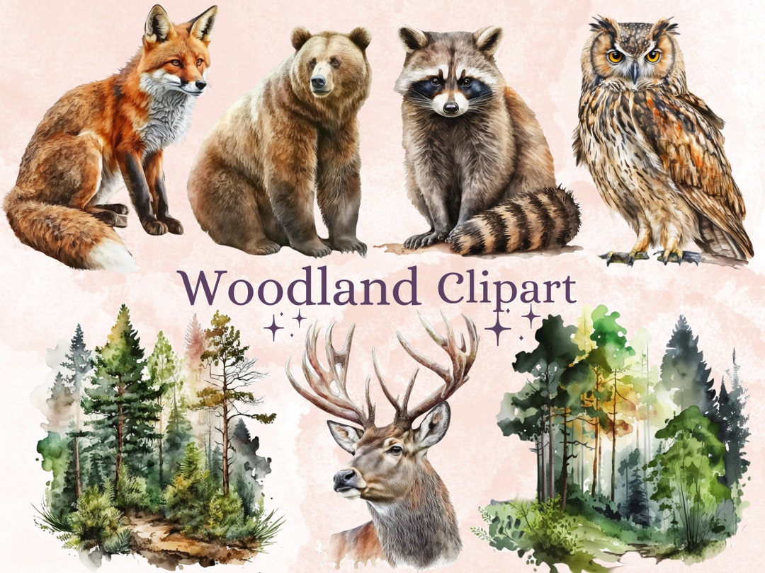 28 PNG Watercolour Woodland Animals Clipart Bundle, Forest Elements ...