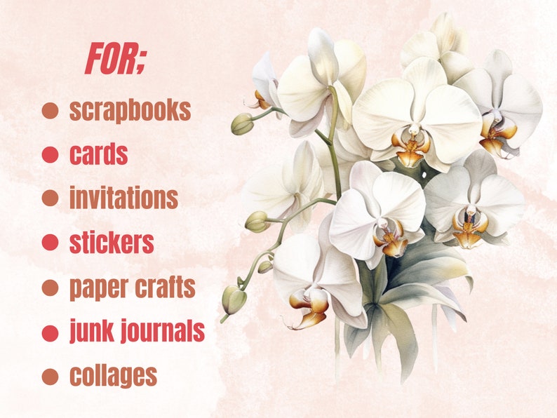 30 PNG Watercolor White Orchids Clipart, Orchid PNG Clip Art Bundle ...