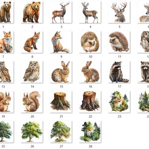 28 PNG Watercolour Woodland Animals Clipart Bundle, Forest Elements ...