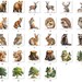 28 PNG Watercolour Woodland Animals Clipart Bundle, Forest Elements ...