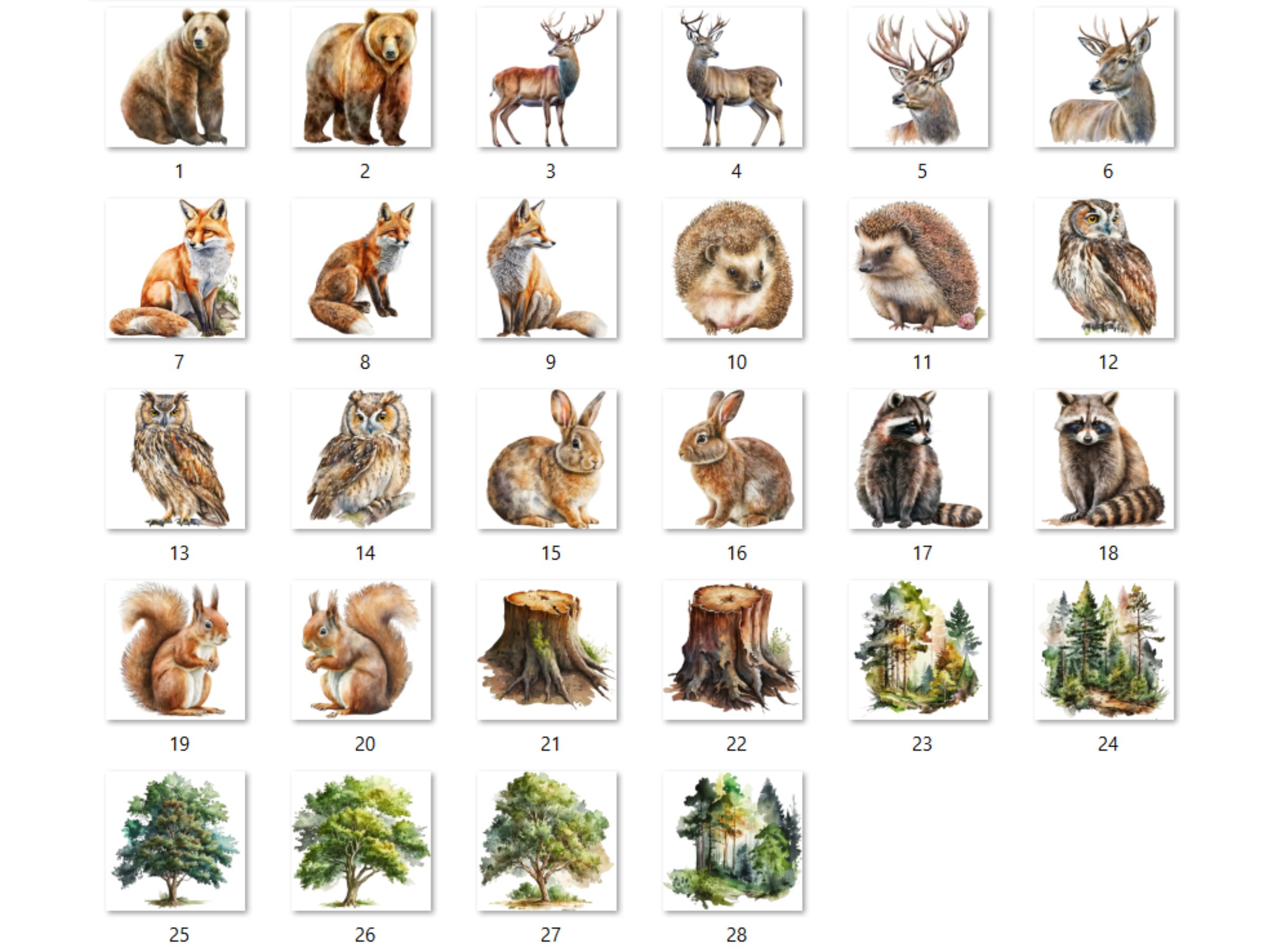 28 PNG Watercolour Woodland Animals Clipart Bundle, Forest Elements ...