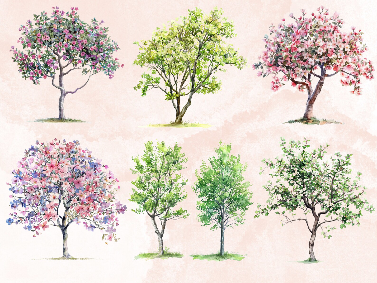 40 PNG Watercolor Spring Tree Clipart, Floral Spring Forest Tree ...