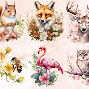 50 PNG Watercolor Spring Animals Clipart, Floral Spring Birds ...