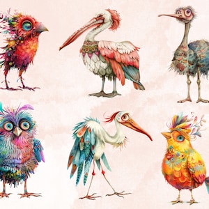 45 PNG Watercolor Quirky Birds Clipart, Whimsical Crazy Birds ...