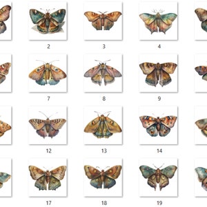 20 PNG Watercolour Retro Moths Clipart, Vintage Moth Clip Art, Retro ...