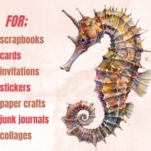 70 PNG Watercolor Underwater Animals Bundle Clipart, Ocean Nursery Clip ...