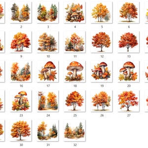 32 PNG Watercolor Fall Woodland Clipart, Autumn Forest Illustrations ...