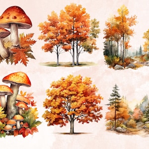 32 PNG Watercolor Fall Woodland Clipart, Autumn Forest Illustrations ...