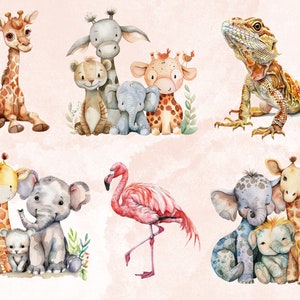 40 PNG Watercolor Safari Nursery Clipart, Newborn Baby Shower ...