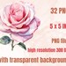 32 PNG Watercolor Pink Roses Clipart Bundle, Blush Rose PNG Clip Art ...