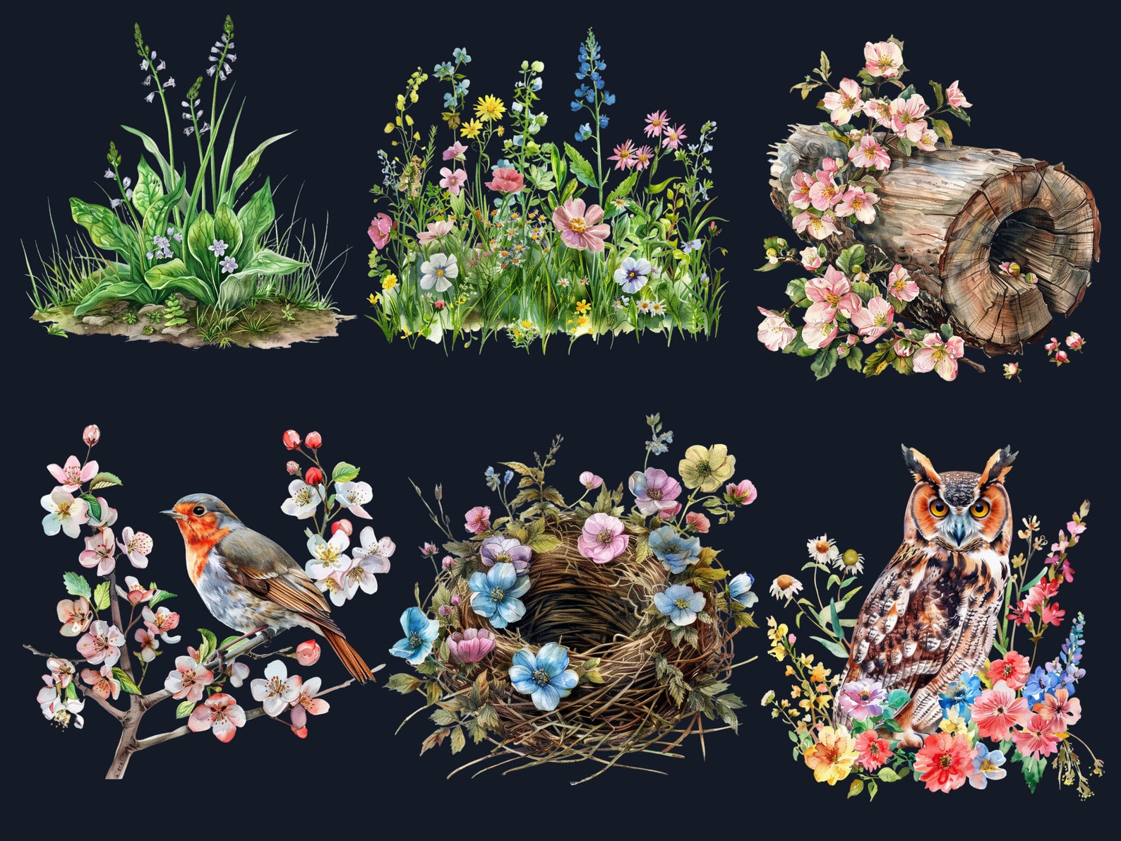 50 PNG Watercolor Spring Woodland Clipart, Floral Spring Forest ...