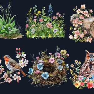 50 PNG Watercolor Spring Woodland Clipart, Floral Spring Forest ...