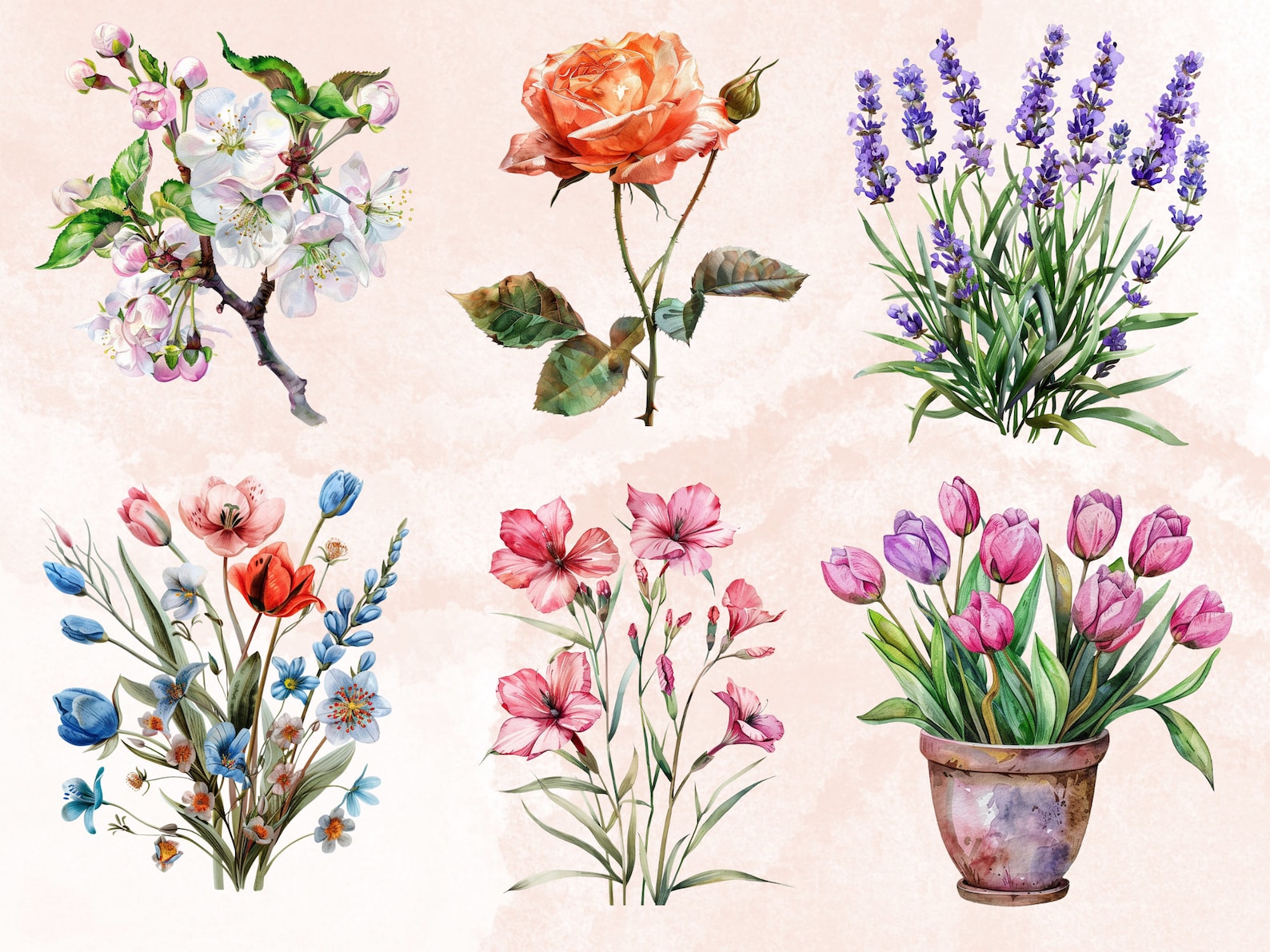 50 PNG Watercolor Spring Flowers Clipart, Floral Spring Meadow ...