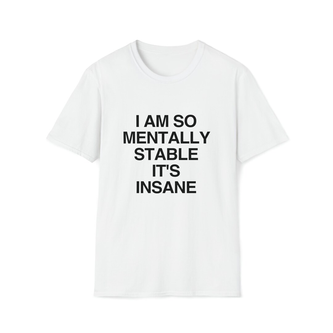 Funny Y2K Joke Tshirt, I Am so Mentally Stable It's Insane Meme Tee ...
