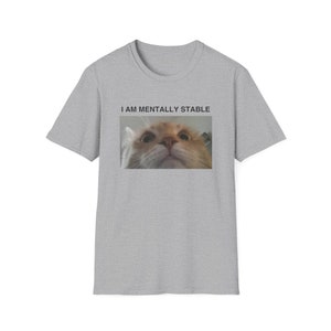Funny Cat Meme Tshirt, I Am Mentally Stable Sarcastic Kitty Joke Tee ...