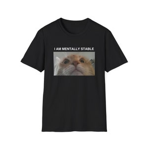 Funny Cat Meme Tshirt, I Am Mentally Stable Sarcastic Kitty Joke Tee ...