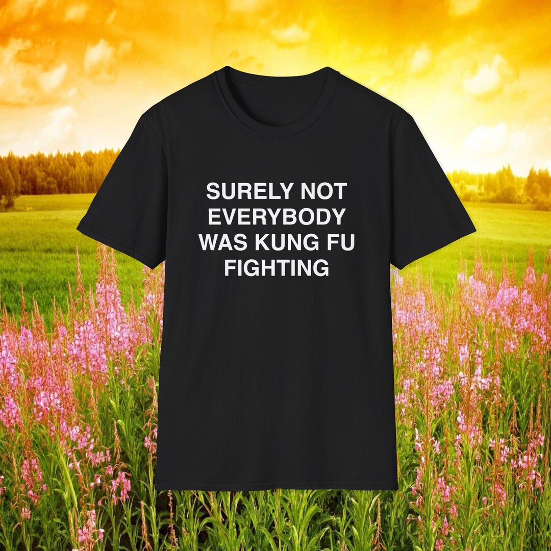 Funny Meme Tshirt, Surely Not Everybody Was Kung Fu Fighting Joke Tee ...