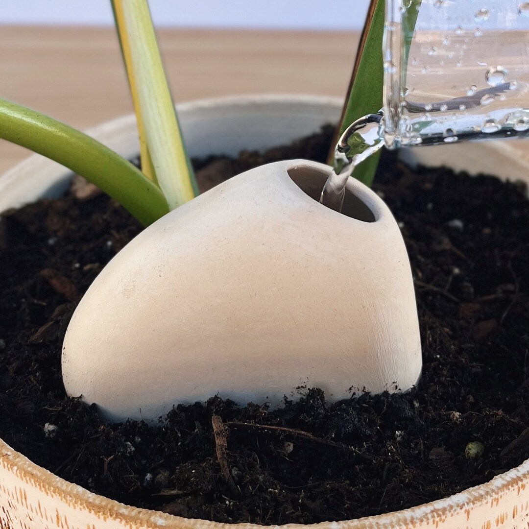 Self Watering Ceramic Planters: the Perfect Gift for Plant Lovers ...