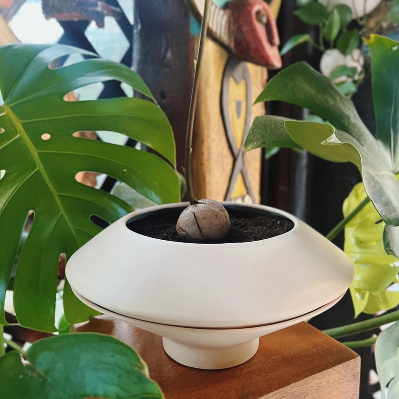 White Planter self-watering Hand Made, Italy, Premium, 100% Ceramic ...