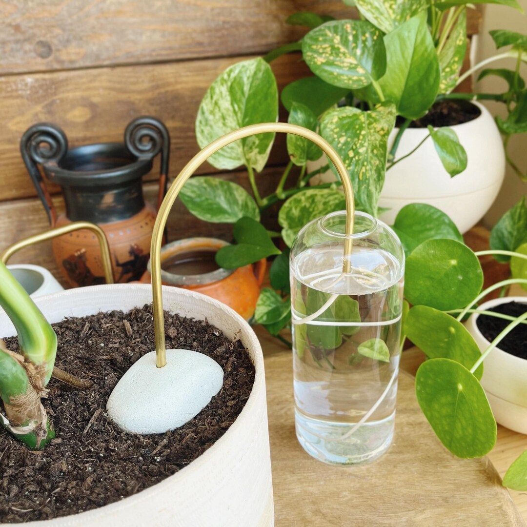 Self Watering Wick Perfectly Watered Plants SINGLE COPY, Art.521 New ...