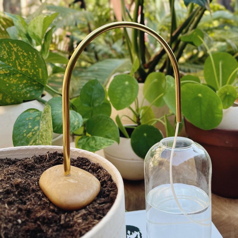 Self-watering Straw SINGLE COPY, Art.107, Made in Italy, Unique Planter ...