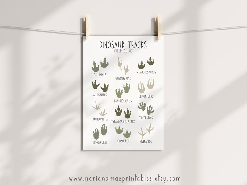 Dinosaur Tracks Print Dinosaur Footprints Educational Dinosaur - Etsy