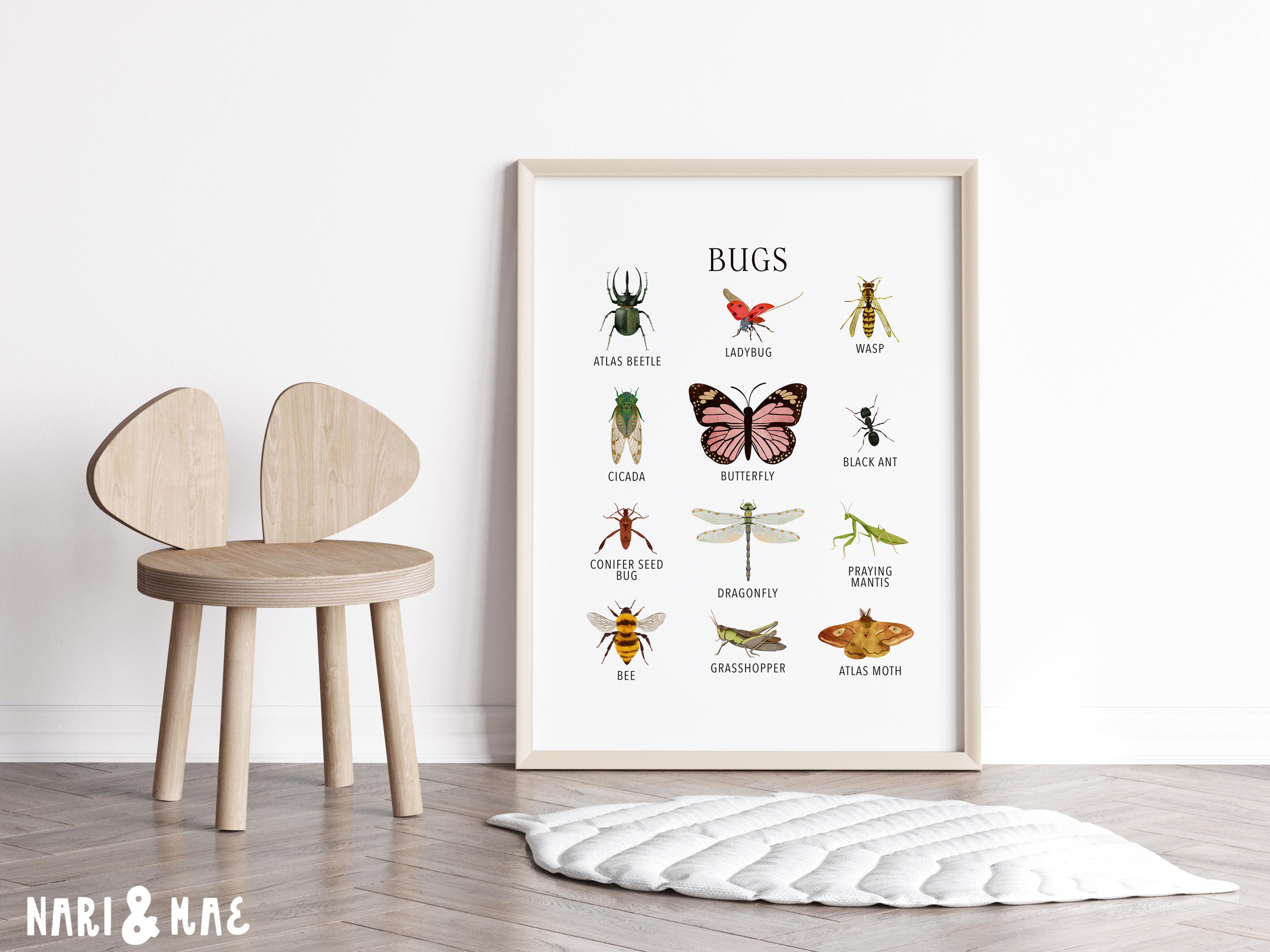 Insect Bedroom Print, Educational Bugs Poster, Montessori Homeschool ...