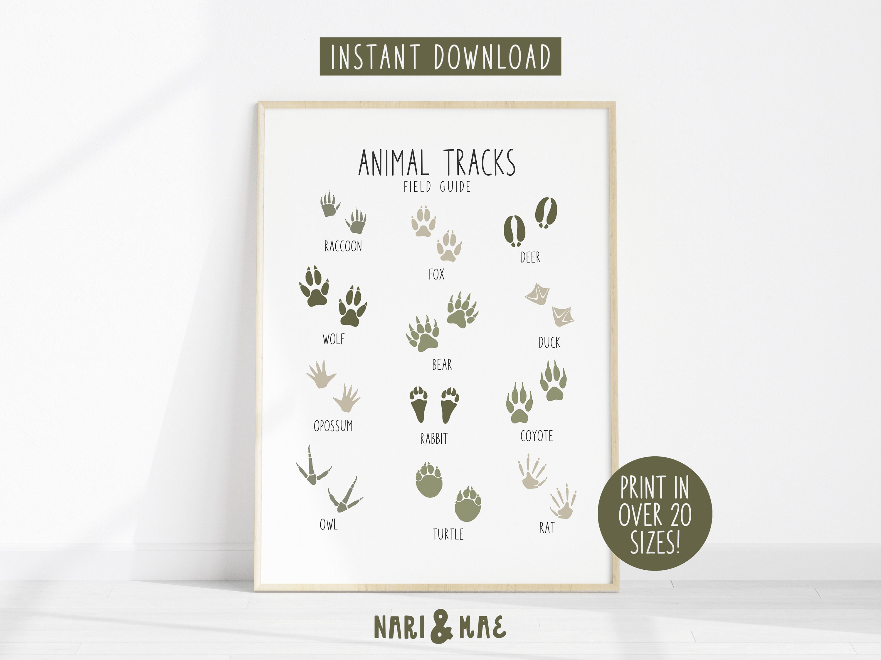 Animal Tracks Print, Animal Footprints Field Guide, Educational Animal ...