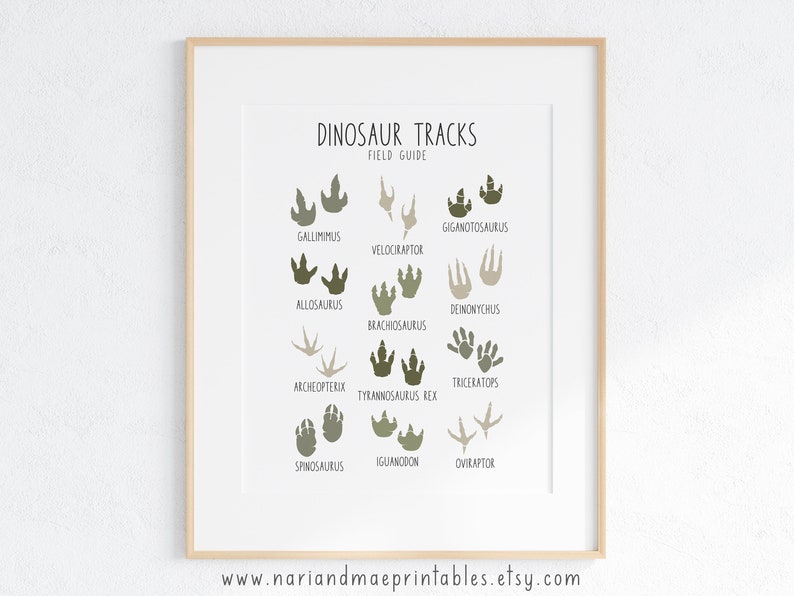 Dinosaur Tracks Print Dinosaur Footprints Educational Dinosaur - Etsy
