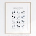 Dino Tracks Dinosaur Footprints Poster Dinosaur Tracks Educational Dino ...