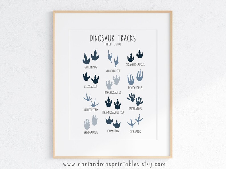 Dino Tracks Dinosaur Footprints Poster Dinosaur Tracks - Etsy