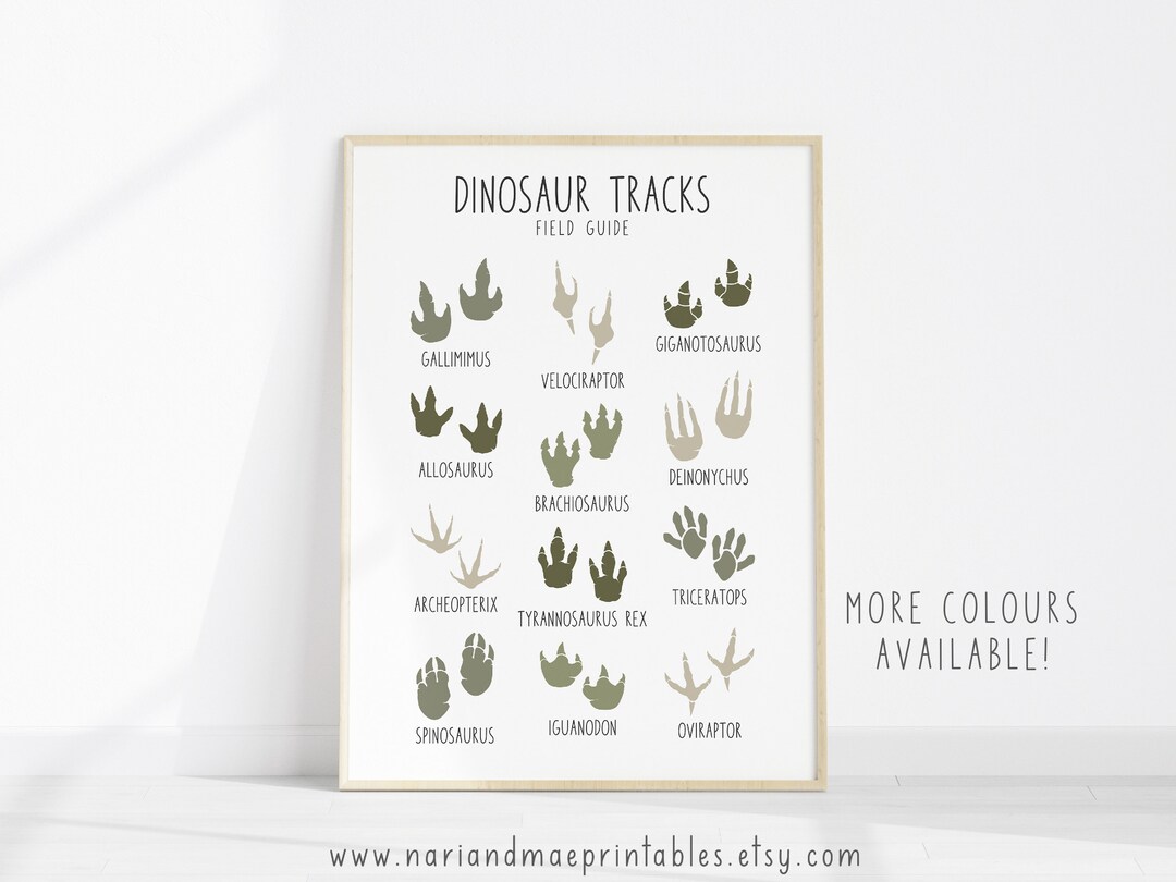 Dinosaur Tracks Print Dinosaur Footprints Educational Dinosaur Wall Art Dinosaur Nursery ...