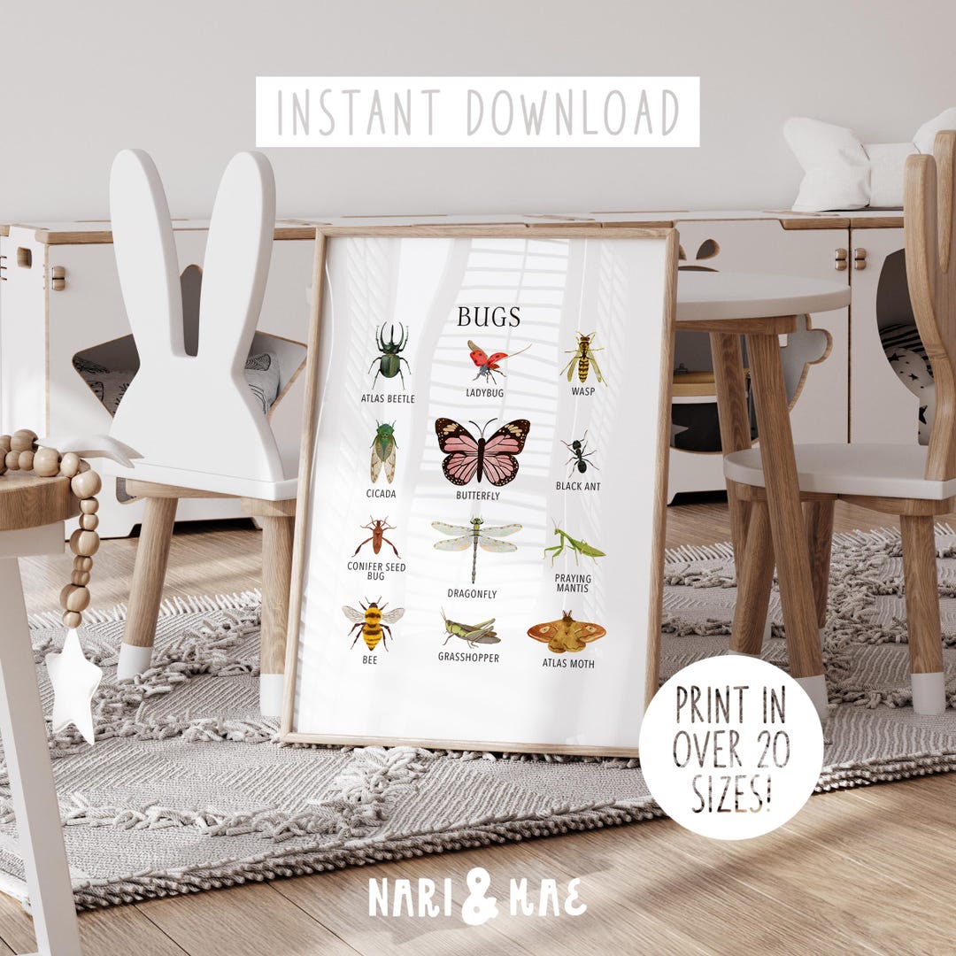 Educational Bugs Poster, Montessori Homeschool Decor, Insects Print ...