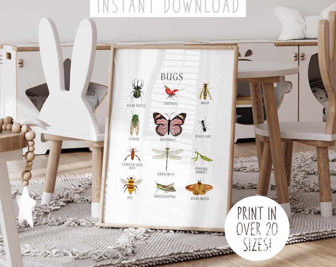 Educational Bugs Poster, Insects Print, Printable Wall Art, Montessori ...