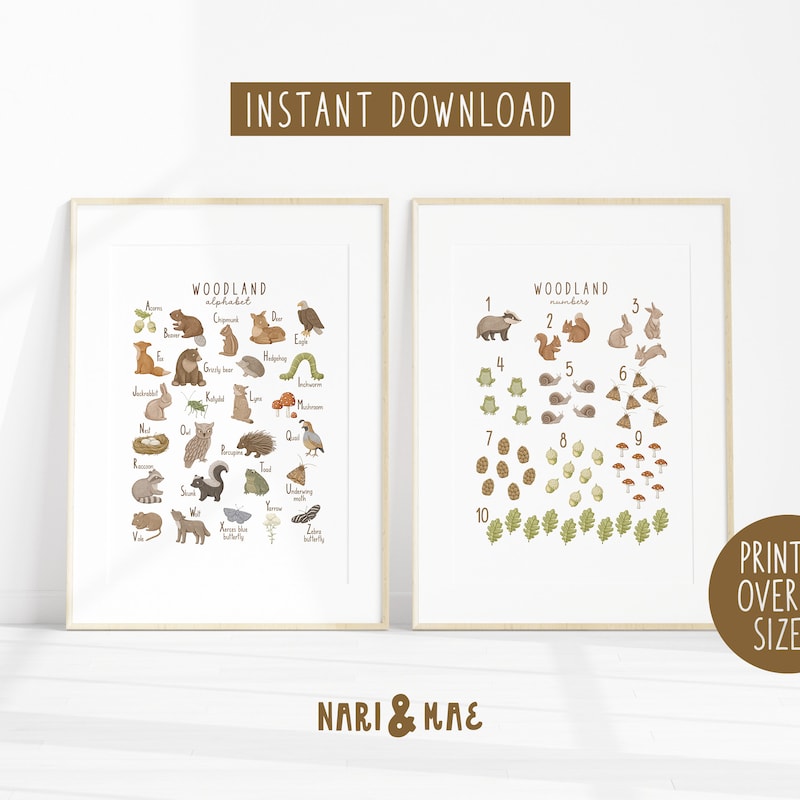 Woodland Alphabet - Etsy