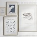Dino Tracks Dinosaur Footprints Poster Dinosaur Tracks Educational Dino ...