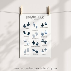 Dino Tracks Dinosaur Footprints Poster Dinosaur Tracks Educational Dino ...