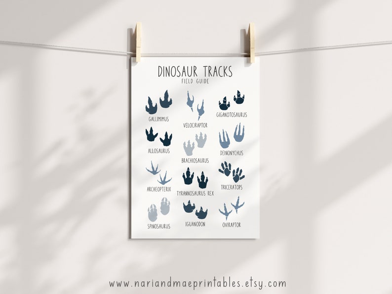 Dino Tracks Dinosaur Footprints Poster Dinosaur Tracks Educational Dino ...
