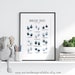 Dino Tracks Dinosaur Footprints Poster Dinosaur Tracks Educational Dino ...