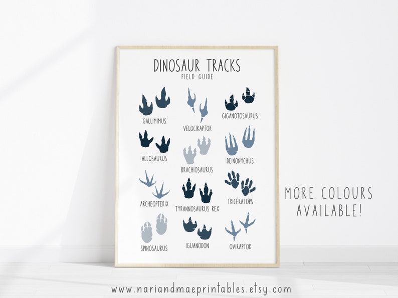 Dino Tracks Dinosaur Footprints Poster Dinosaur Tracks Educational Dino ...