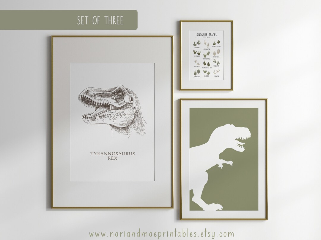 Dinosaur Bedroom Wall Art Set of 3 Prints Boys Room Dinosaur - Etsy
