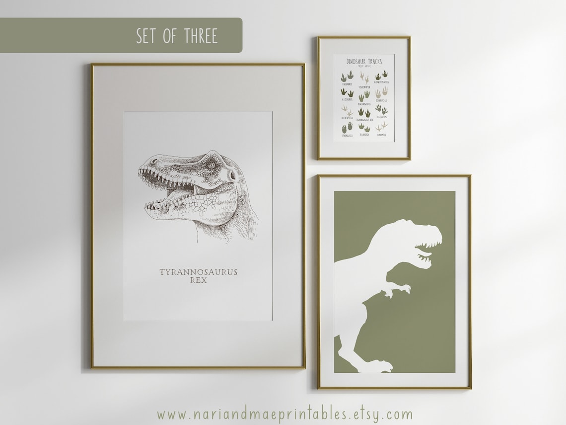 Dinosaur Bedroom Wall Art Set of 3 Prints Boys Room Dinosaur - Etsy