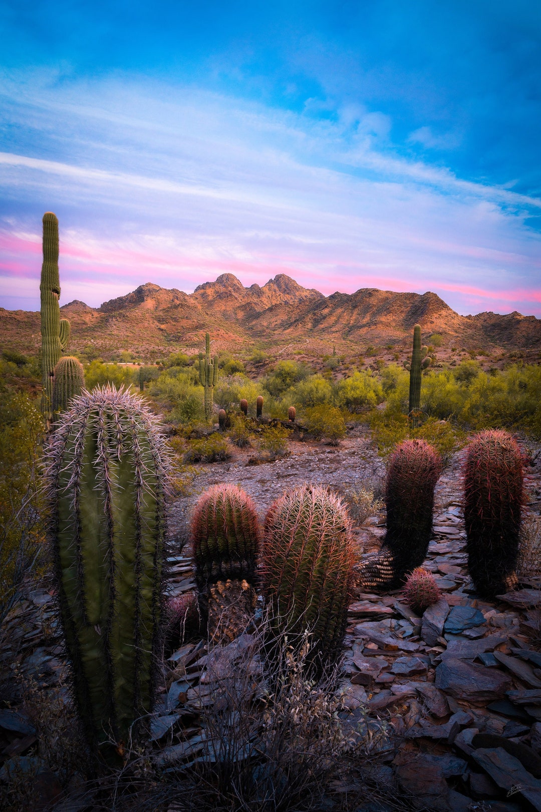 Desert Twilight (digital Download) - Etsy