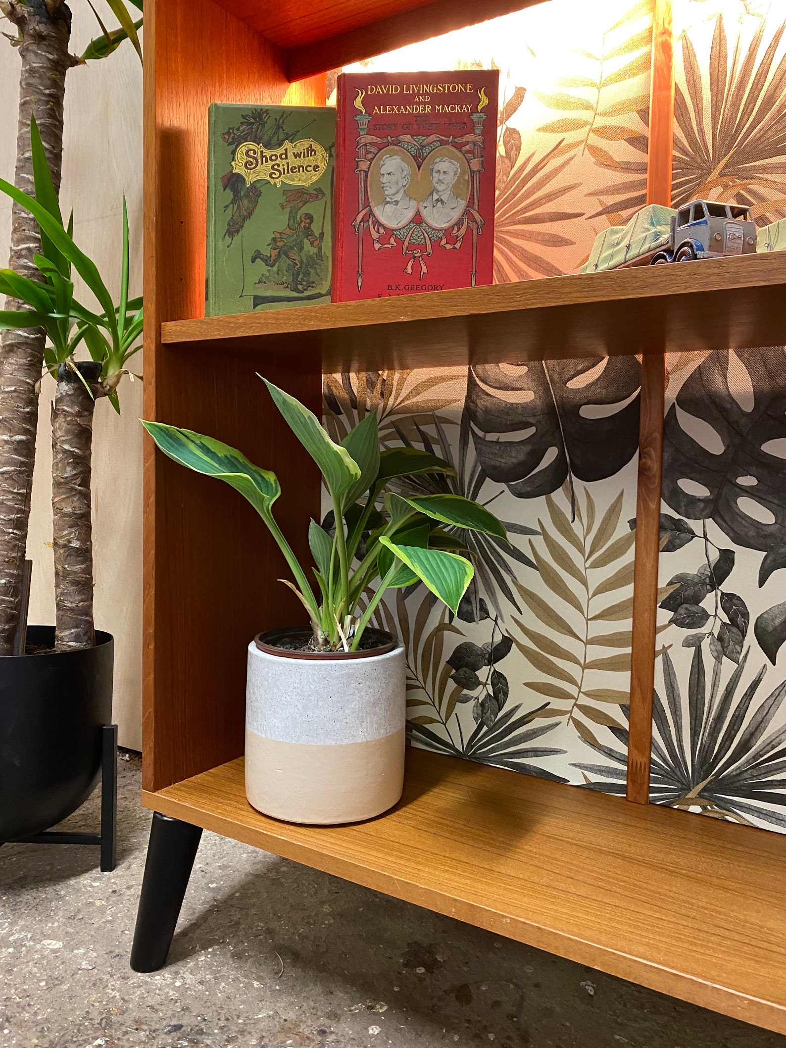 Vintage G Plan Teak Illuminated Bookcase - Etsy