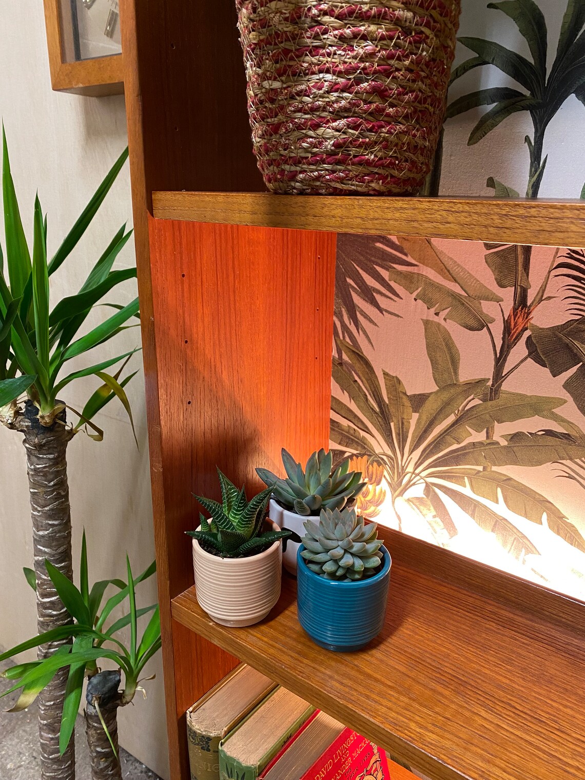 Vintage G Plan Teak Illuminated Bookcase - Etsy